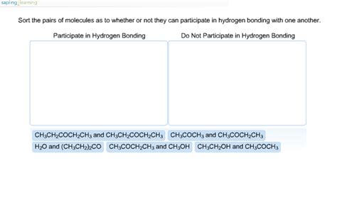 Solved Sort The Pairs Of Molecules As To Whether Or Not They