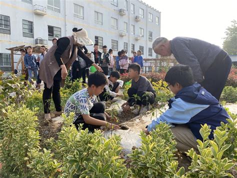 安徽五河东刘集镇推进中小学劳动教育走深走实 新华丝路