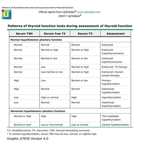 Thyroid Chart Amulette