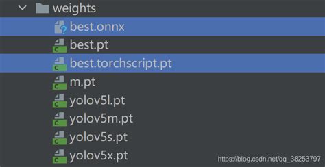 【yolov5 5 x 源码解读】export py csdn博客