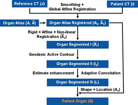 A Schematic Of The Automated Liver And Spleen Segmentation Algorithm