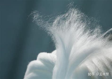 天丝莱赛尔纤维 知乎