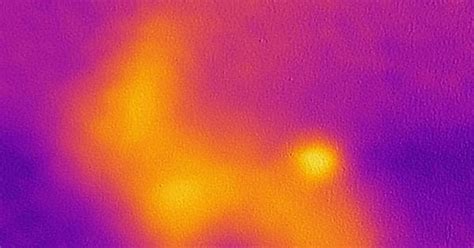 Things I Saw On Inspections This Week Album On Imgur