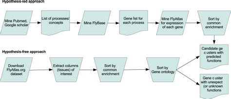 Comparison Of The Hypothesis Led And Hypothesis Free Approaches The