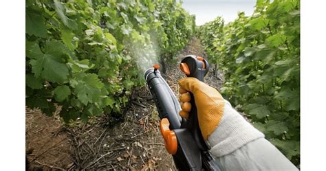 Продукти за растителна защита за борба срещу маната и оидиума Български Фермер