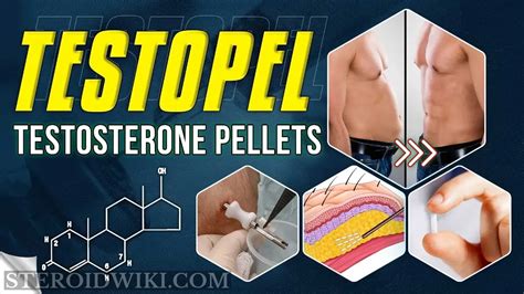 Testopel Testosterone Pellets Steroid Profile