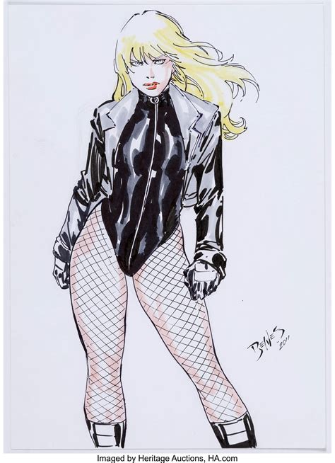 Ed Benes Black Canary Pin Up Illustration Original Art 2011 Lot 13013 Heritage Auctions