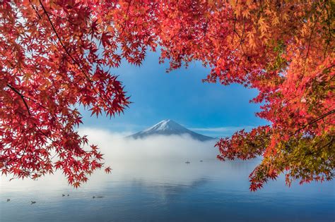 喜愛日本 Like Japan 【likejapan旅遊】更多相片 推主到目前為止拍得最好的富士山與紅葉。