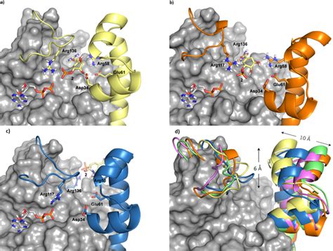 Shikimate Kinase Concepcion Gonzalez Bello Web Page