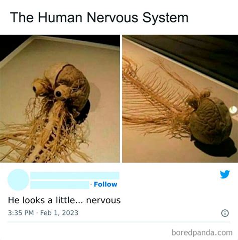 50 Hilarious Science Memes That Prove That Science Can Be Funny As