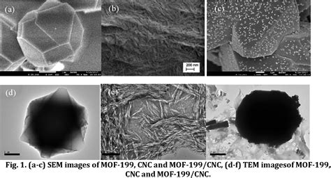 Figure 1 From Synthesis Of Metal Organic Framework Mof 199 Coated With Cellulose Nanocrystal
