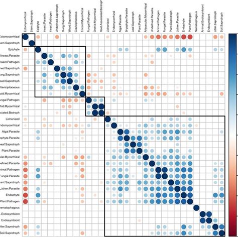 Hierarchically Clustered Spearmans Rank Correlation Matrix Of The Soil