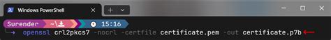 How To Convert Certificate Format Using OpenSSL Cheap Windows VPS