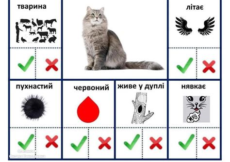Асистент вчителя вихователя в інклюзивному просторі Дидактична вправа Так Ні Facebook