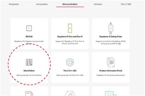 ラズパイピコRaspberry Pi Pico Wの初期設定からLチカするまでの方法MicroPython 閃き作業ブログ