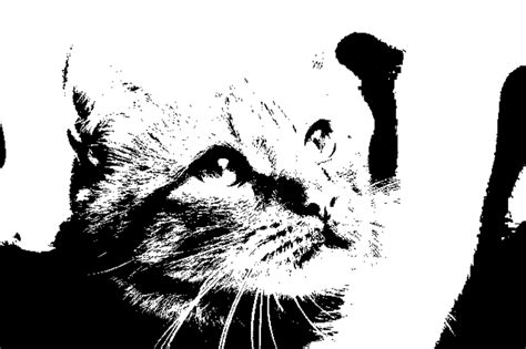 Get Started With Image Processing Using Opencv Python Sidtechtalks