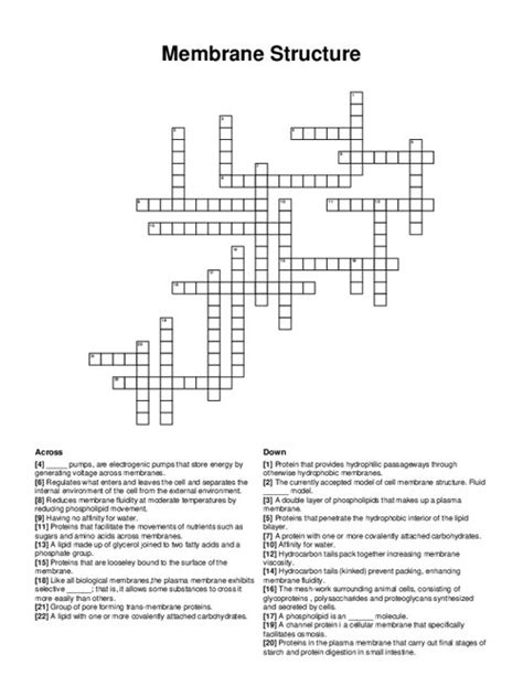 Membrane Structure Crossword Puzzle