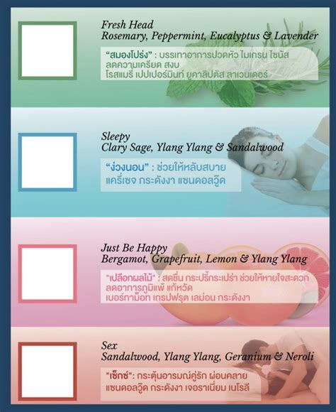 น้ำหอมปรับอากาศรถยนต์ วัตถุดิบจากน้ำมันหอมระเหยบริสุทธิ์ธรรมชาติ Brand Isabella Nature Zen