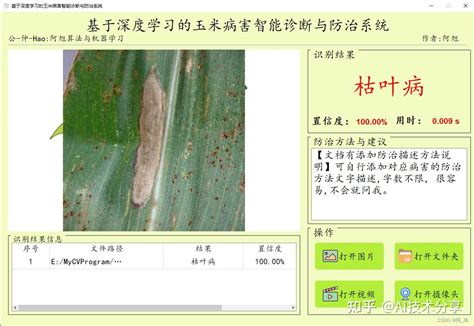 基于yolov8深度学习的玉米叶片病害智能诊断与防治系统【python源码pyqt5界面数据集训练代码】深度学习实战、目标分类 知乎