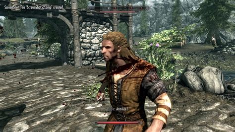 Skyrim mods npc