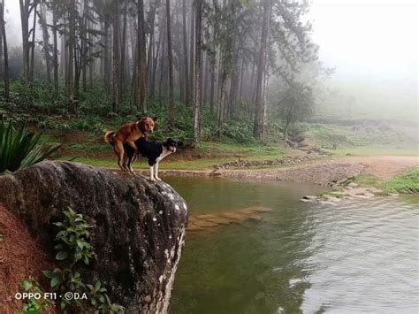 මා ව අසම්මතය