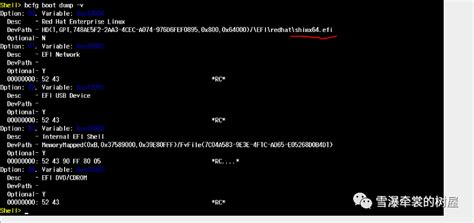 Linux Lspci信息 详解linux引导之efi Shell详解 Csdn博客