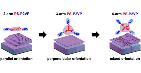 Architecture Dependent Thin Film Self Assembly Of Star Polystyrene Poly
