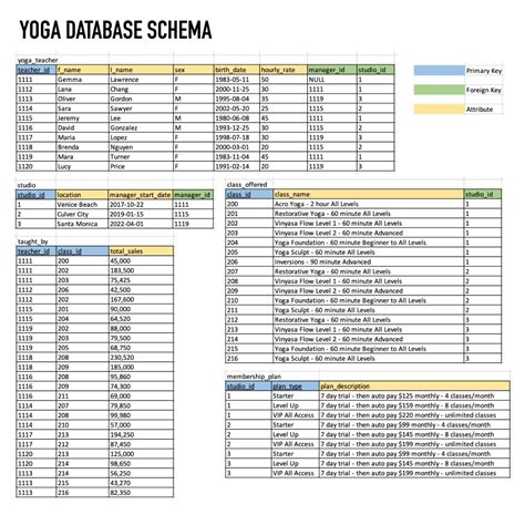 er diagram and database schema catty learns code