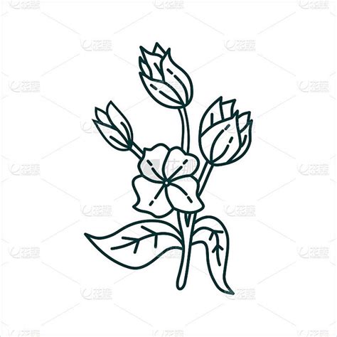 花叶子插图设计模板矢量