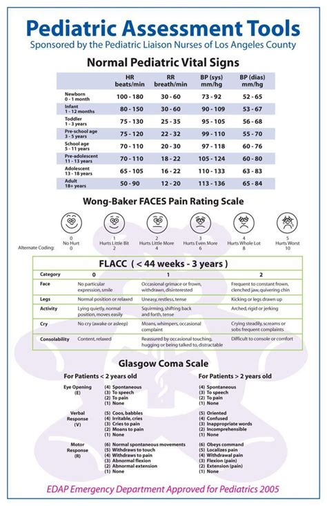 Pediatric Coding Cheat Sheet 2025 Arden Brigida