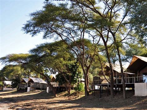 Zambia How The Wildlife Rich Nation Has Achieved A Fall In Poaching The Independent The