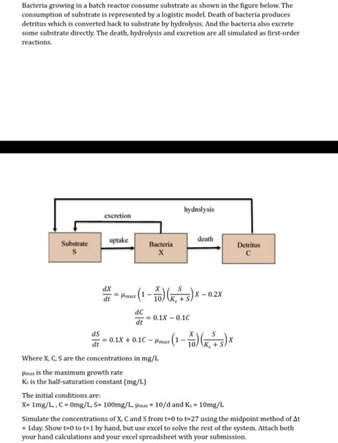 Bacteria Growing In A Batch Reactor Consume Substrate As Shown In The Figure Below The