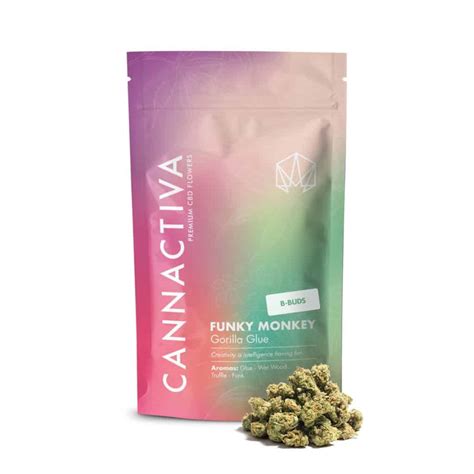 Small Buds Cbd Premium Mini Cogollos Cbd Cannactiva