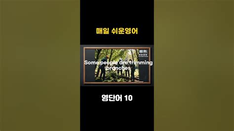 Trim 듣기만 해도 외워지는 영어 단어 10개 초보자를 위한 필수 학습법 영어단어 영단어외우기 영단어공부 단어암기