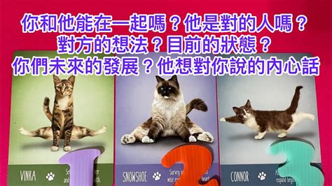 ️塔羅占卜 你和他能在一起嗎？他是對的人嗎？對方的想法？對方目前的狀態？你們未來的發展會如何？他她想對你說的內心話。心裡有人都可以測，不限關係
