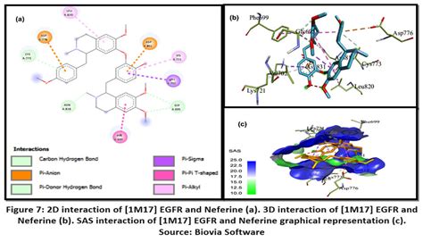 Identification Of Bioactive Compounds By Gc Ms Of Nelumbo Nucifera Leaf