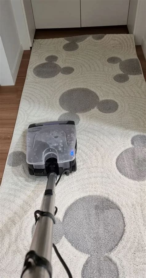 카펫습식청소 케어 비치움 청결한가문 숨고 숨은고수 카펫습식청소 케어 비치움 청결한가문 숨고 숨은고수