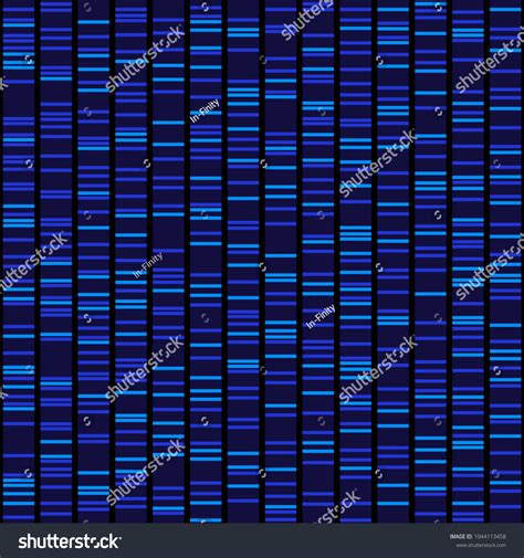 Genetic Sequencing Results 99点を超えるロイヤリティフリーでライセンス可能なイラスト素材とスケッチ Shutterstock
