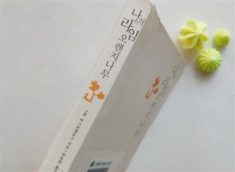 책 나의 라임오렌지나무 줄거리 독후감 네이버 블로그