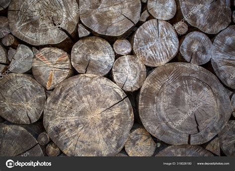 Photo Wooden Background Sections Tree Trunk Stock Photo Nuclear Lily