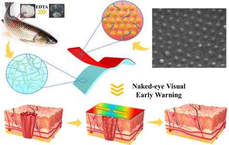 Bioinspired Wearable Hydrogel Composite With Sustained Drug Release For