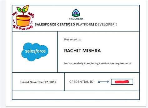 Rachit Mishra On Linkedin Salesforce Certification 15 Comments