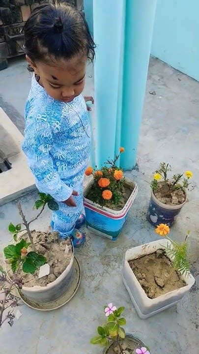 Youtubeshorts Shortsvideo Shorts Youtube