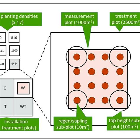 Arrangement Of Treatments And Sample Plots Within Installations Download Scientific Diagram