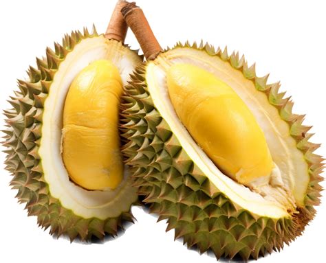 Durian With 25064814 Png