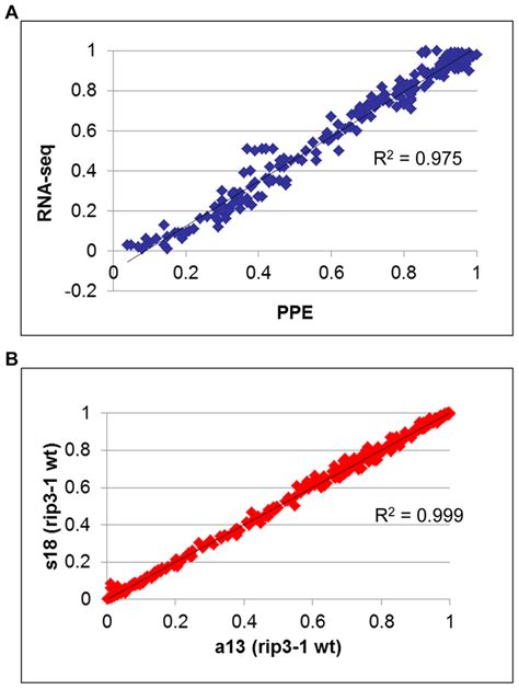 Measurement Of Rna Editing Extent By Rna Seq Is Accurate And Highly