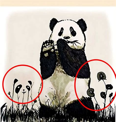 Optical Illusion To Test Your Vision Find 2 Hidden Pandas In 5 Seconds