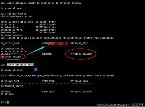 Oracle 高可用方案 主从搭建与切换oracle 主从 Csdn博客 Oracle 高可用方案 主从搭建与切换oracle 主从 Csdn博客