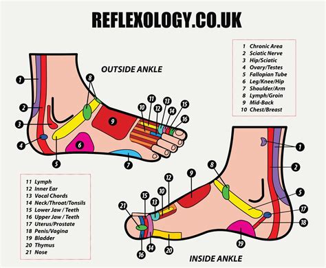Free Reflexology Charts Uk
