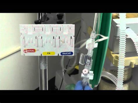 Ibp Transducers Pressure Monitoring Kit Trader Wholesaler Distributor From Saharanpur